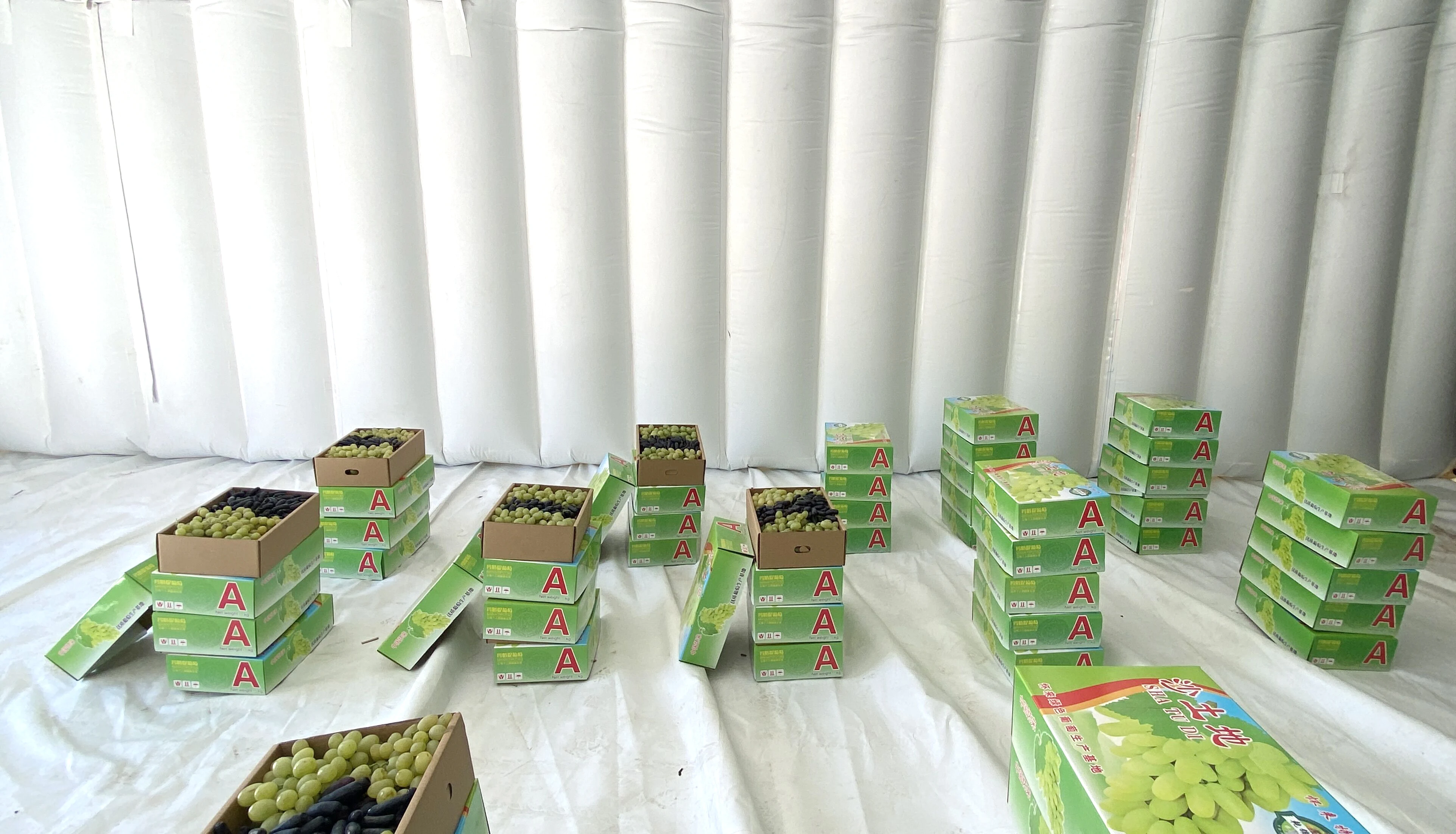Fresh Keeping Storage For Fruits And Vegetables By Air Membrane ...