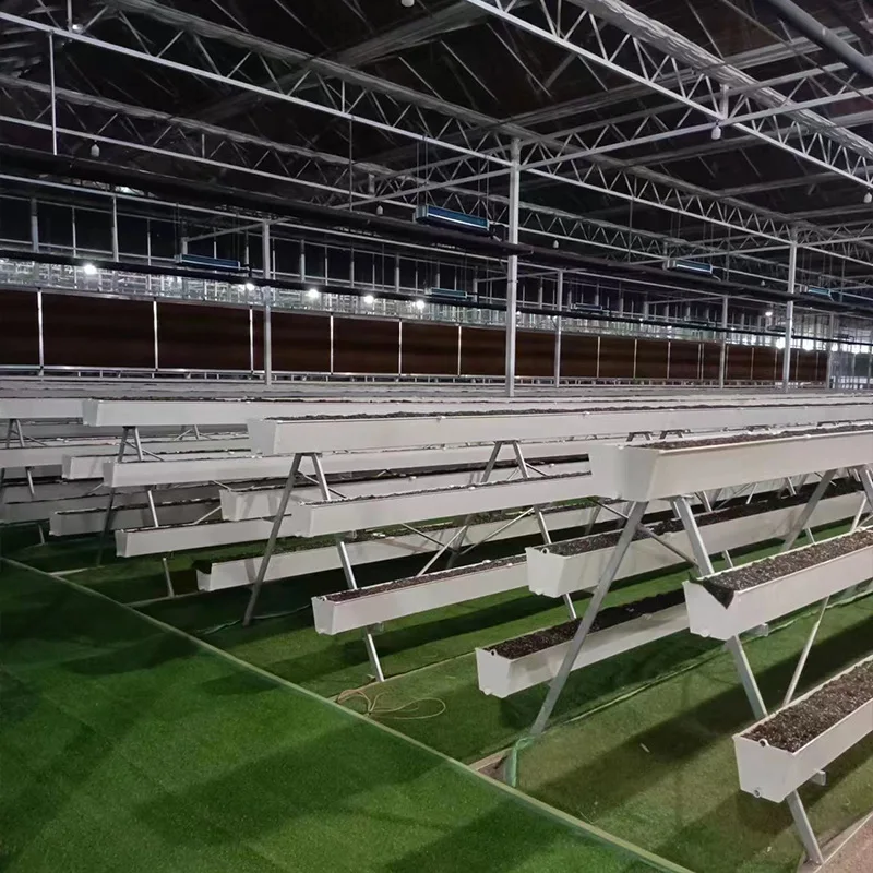 Vertical PVC Trough Hydroponic Strawberry Hydroponic System Grow Gutter ...