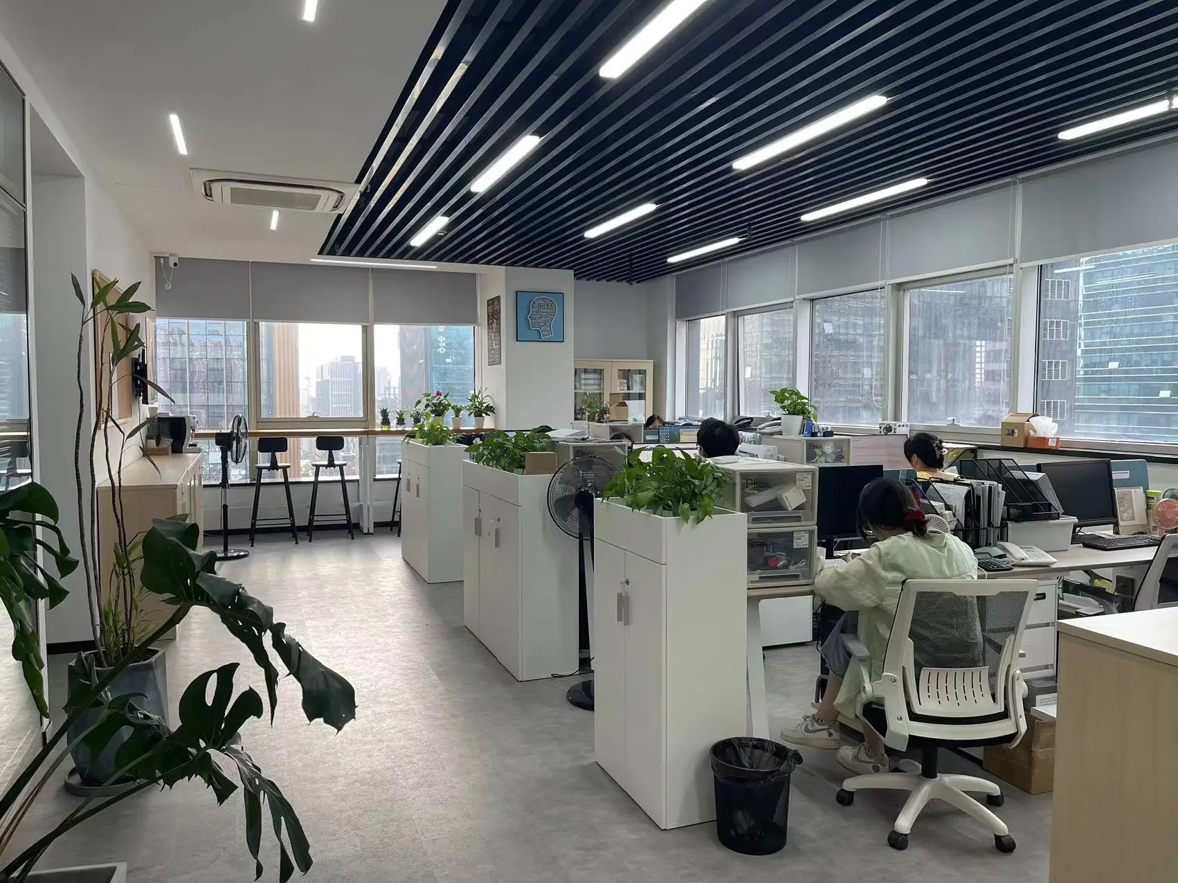 Company Overview - Ningbo Asia Leader Import&export Co., Ltd.