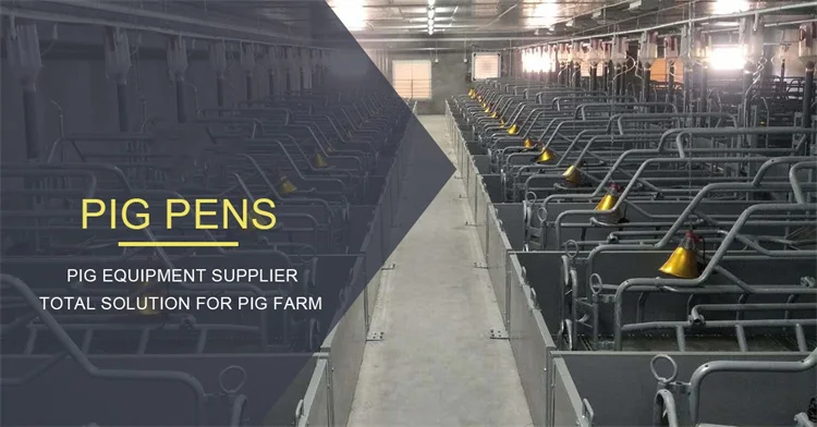 Hot Dip Galvanized PVC Panel Pig Birthing Cage Farrowing Crates for Pig ...