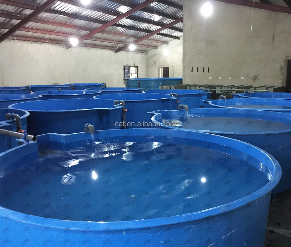 CATAQUA Ras Tilapia Fish Farming Equipment - Biofloc Tank Design