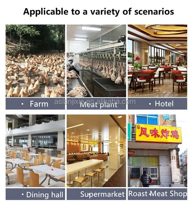 High Speed Boneless Chicken Meat Cube Dicing Machine Frozen Beef Meat ...