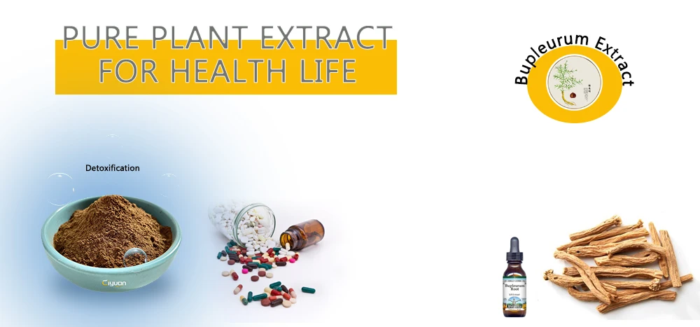 Factory Supply Chinese Thorowax Root Extract Bupleurum Sinensis Extract ...