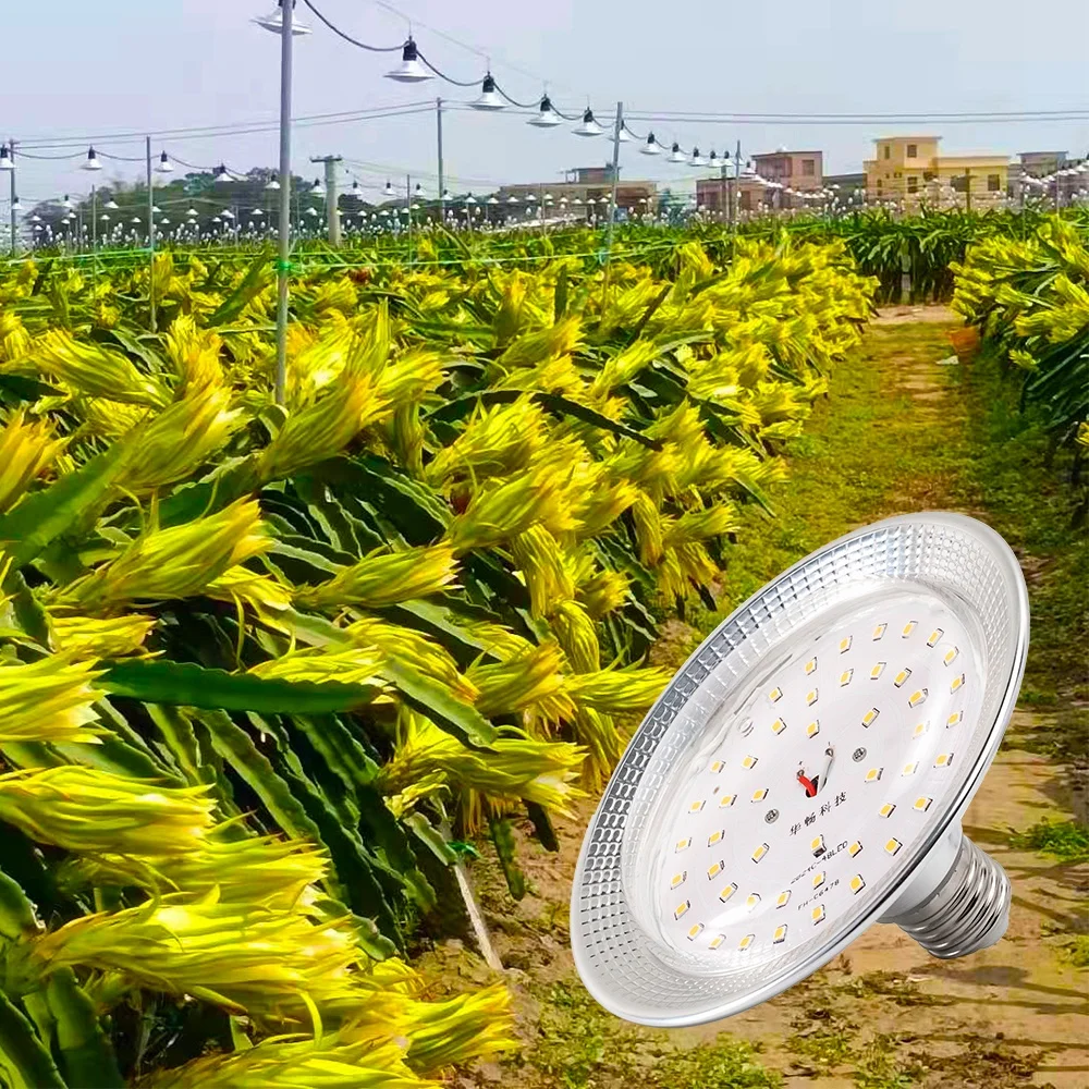 Zhongshan Factory Ufo Led Plant Growth Lamp Dragon Fruit Lights Full ...
