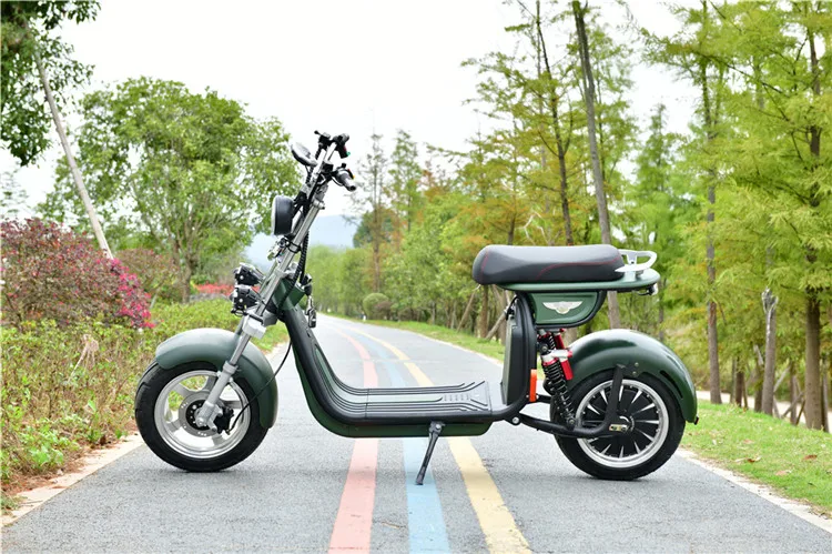 1000cc Motorcycle - 1000 Watt Electric Scooter with Cheap Price