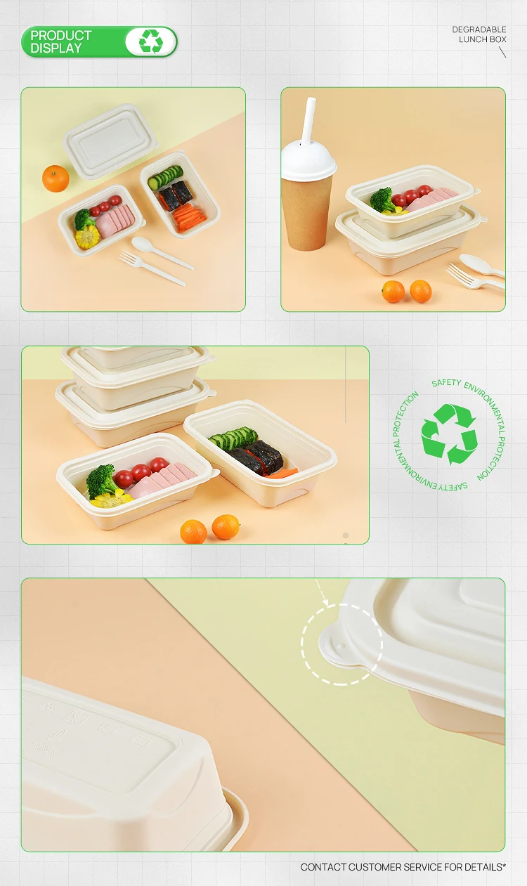 2 Compartment Packaging Bio Degradable Cornstarch Lunch Box With Lid ...