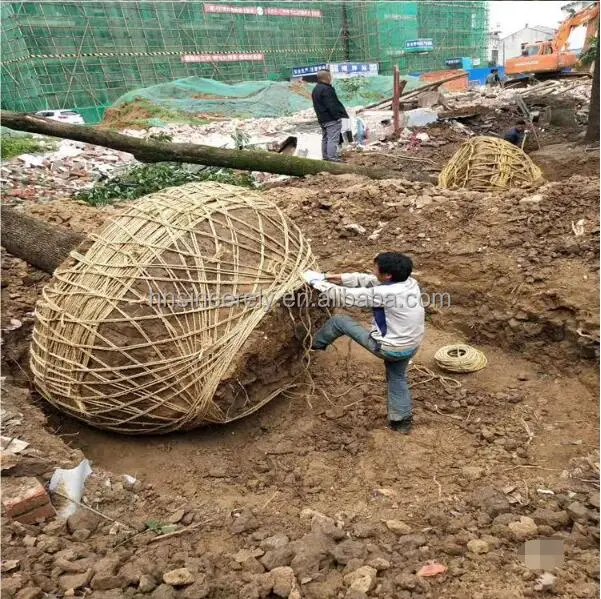 Processing Straw Rope Machine/electric Reed Straw Rope Rolling Machine ...