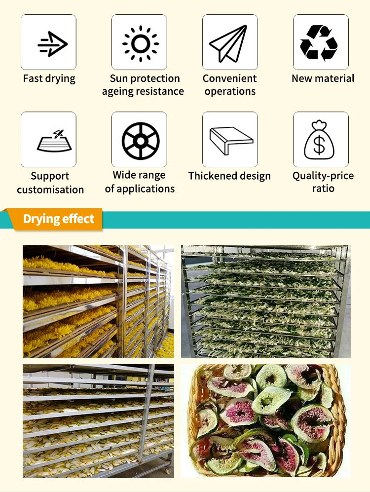 Industrial Vacuum Continuous Freeze Dryer Lyophilizer Food Fruit Freeze ...