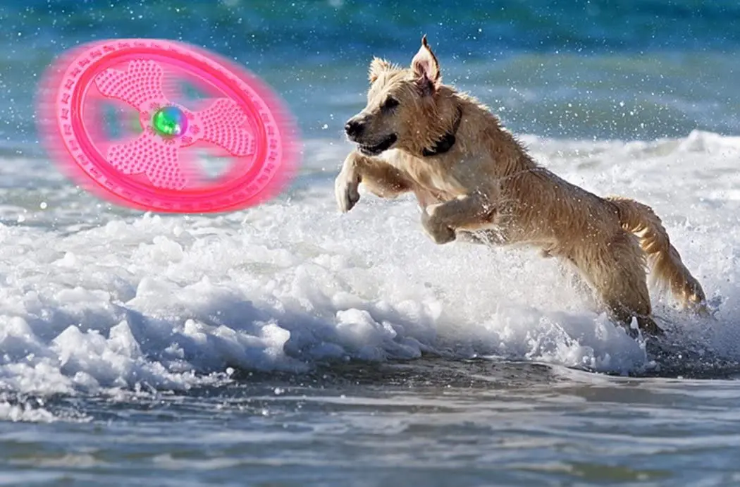 Wholesale Soft Flying Disc Dog Sport Toy Dog Light Up Led Flying Disc ...