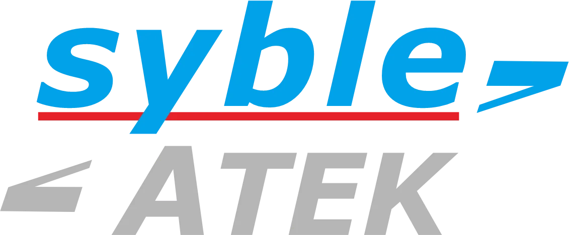 Company Overview - Guangzhou Syble Co., Ltd.