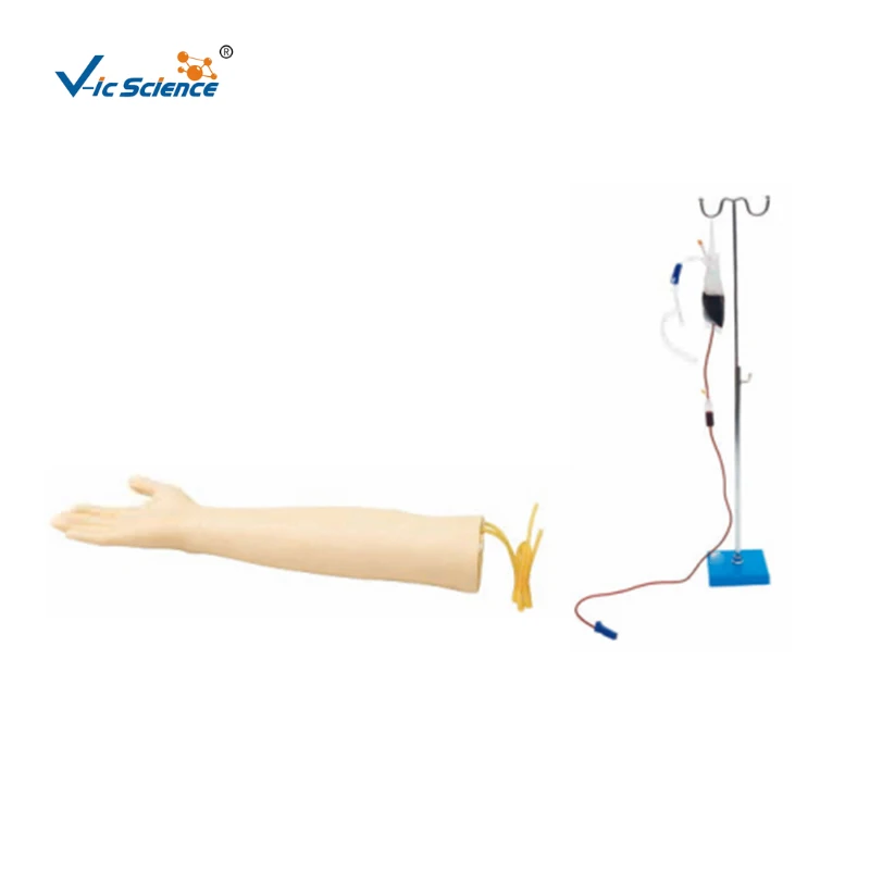Manikin Training Model Model Of Venipuncture Training For Senior ...