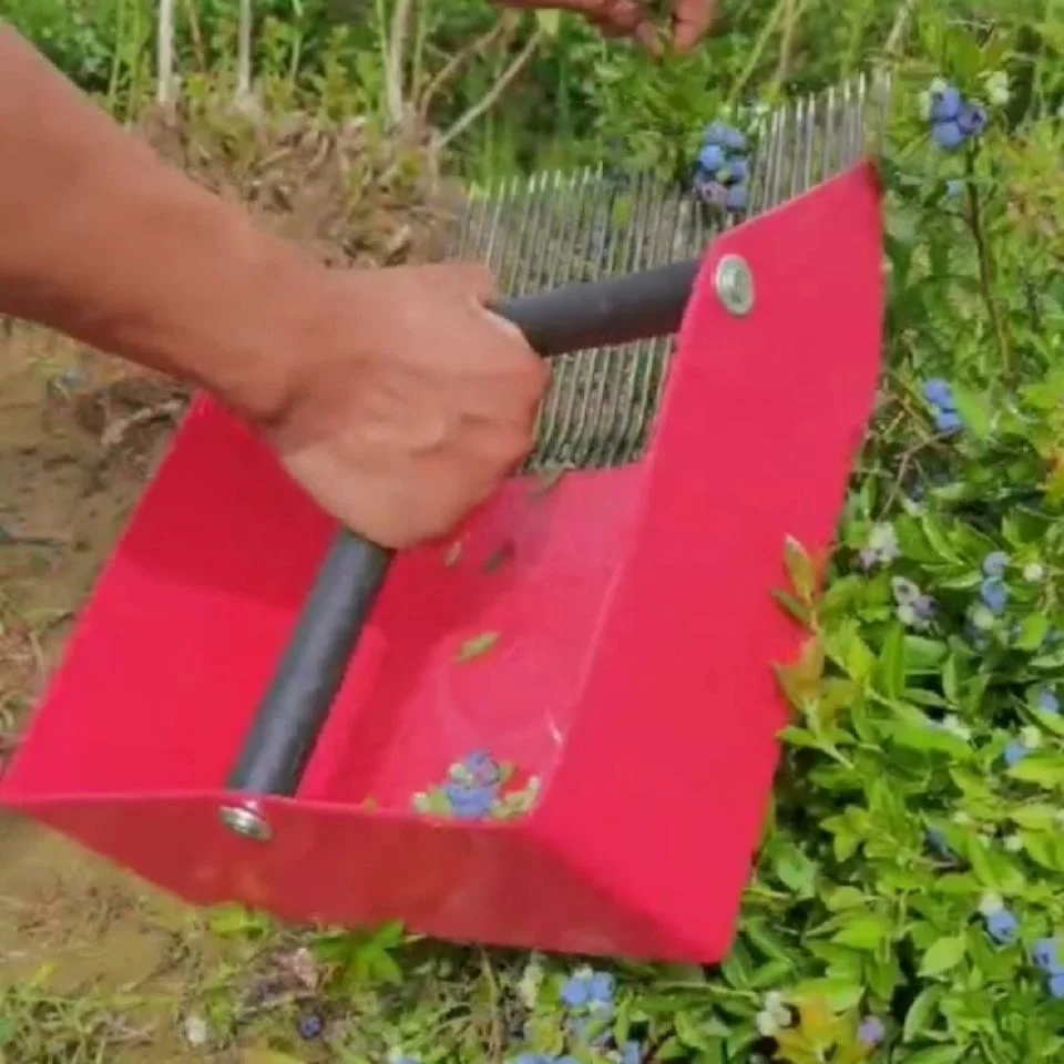 Manual Efficient Blueberry Picker Hand Blueberry Harvester Fruit ...
