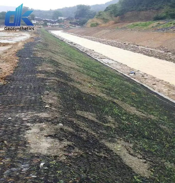 Erosion Control Geomat - Durable, Reinforced Polymeric Mesh