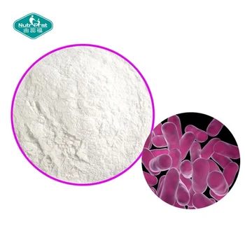 Diarrhea Probiotics Supplements Lactobacillus Acidophilus Probiotics 60 ...