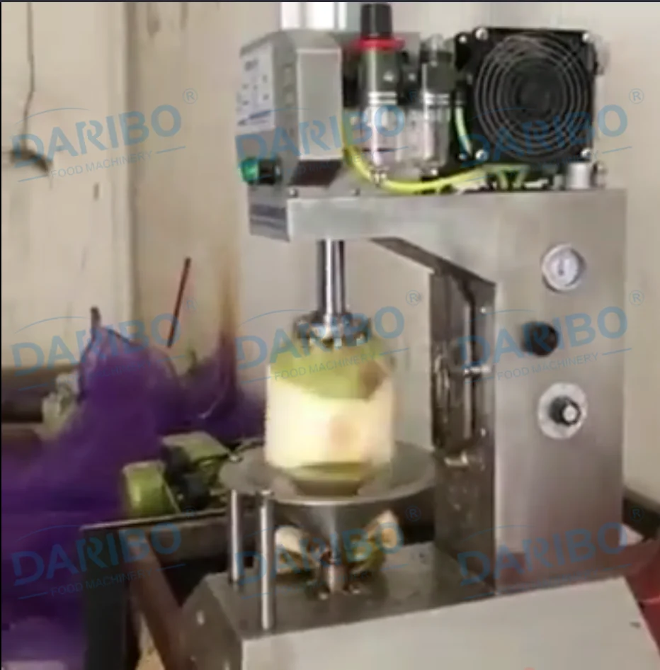 Automatic Coconut Peeler - Efficient & Durable Machine