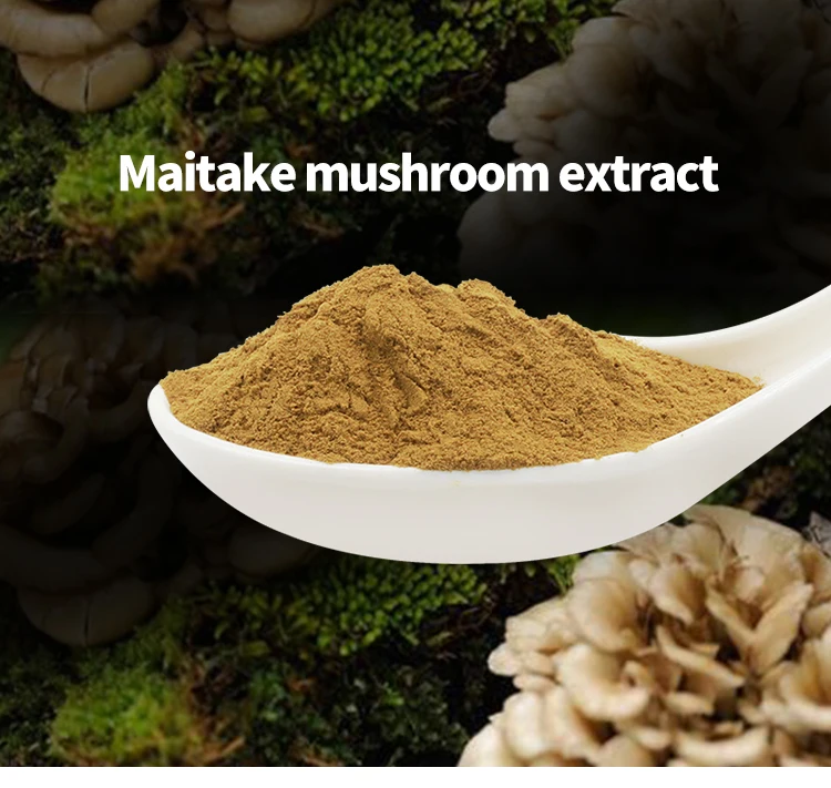 High Quality 50% Polysaccharide Maitake Mushroom Extract - Buy Maitake ...