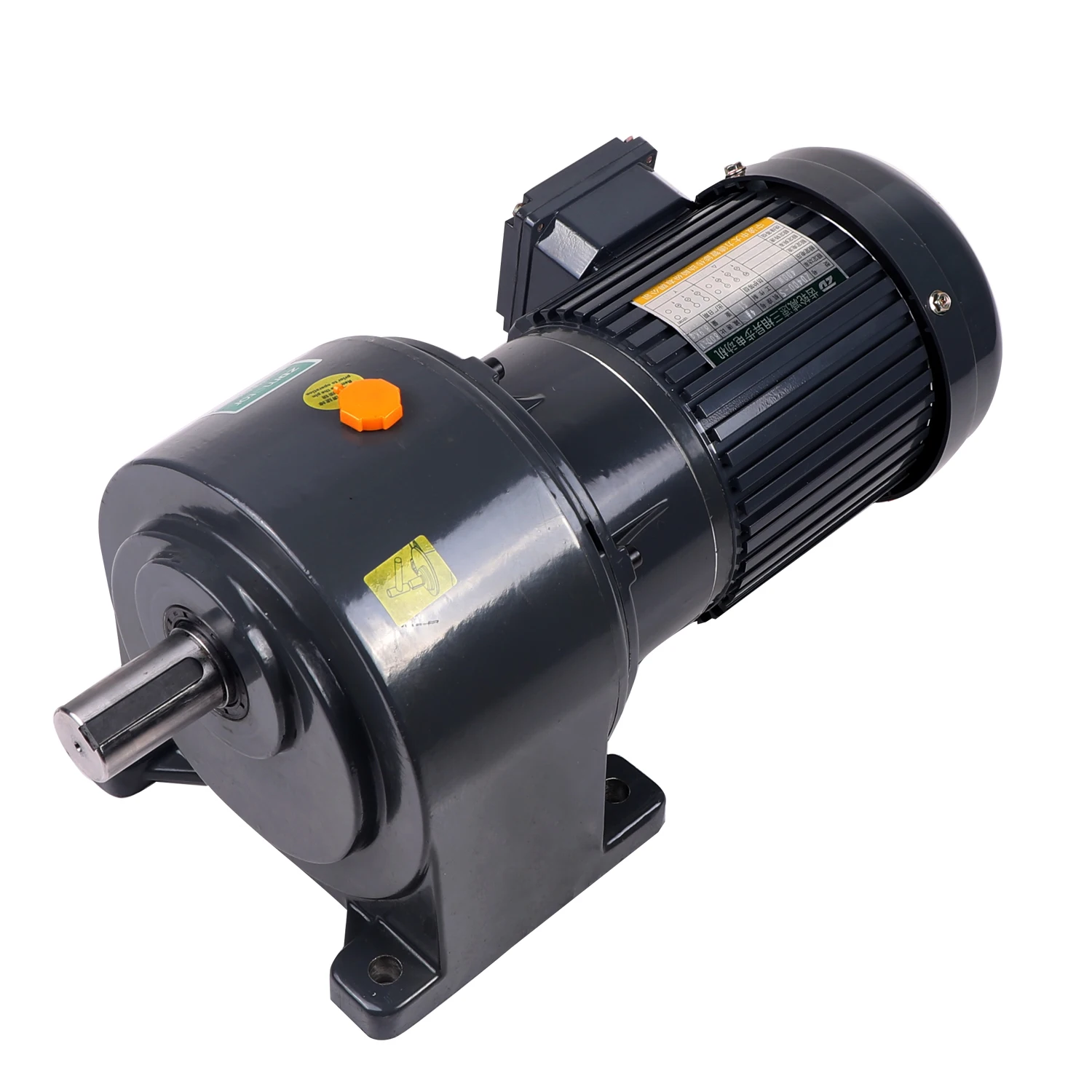 ZD Motor 220V 50hz High Torque AC Mini Motor ZH10050SZBG1LDQ1