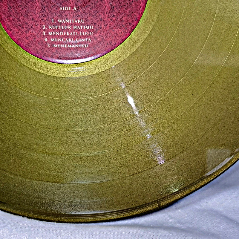 Blank Gold Vinyl Record - Pressing with Full Color Jackets
