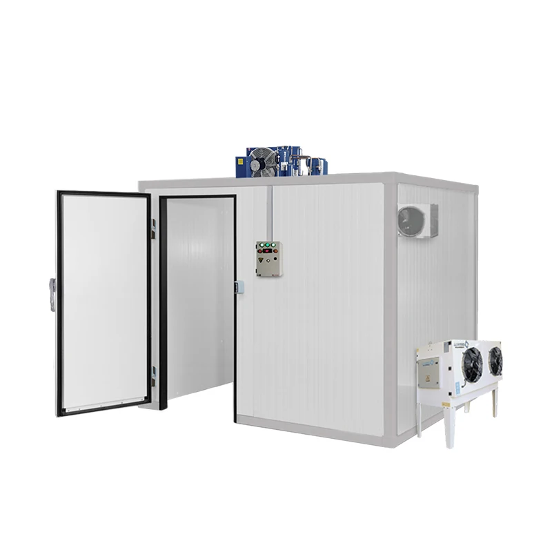 Mini Cold Room Monoblock Refrigeration Units Cold Room Price Cold Room ...