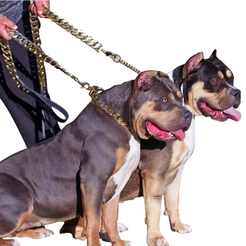 Customized Gold Cuban Dog Chain Collar - Hip Hop Style