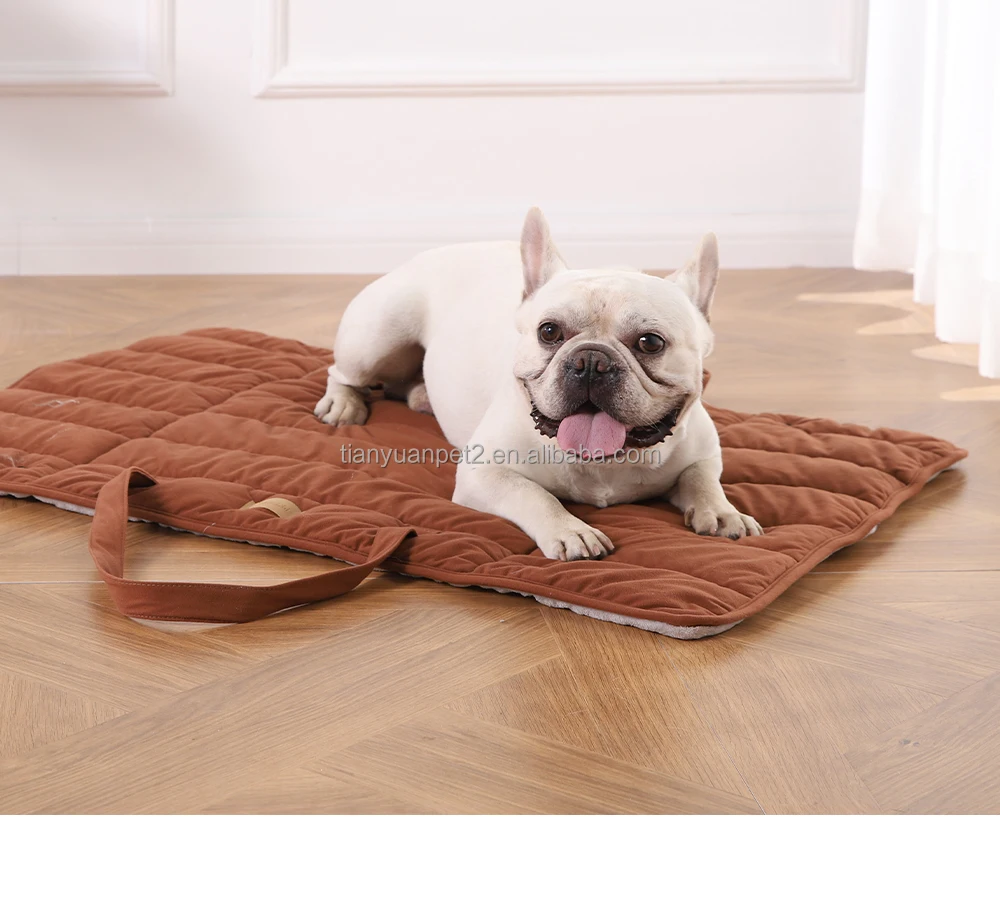 Waterproof Anti Static Pet Carrier Purse Tote Bag