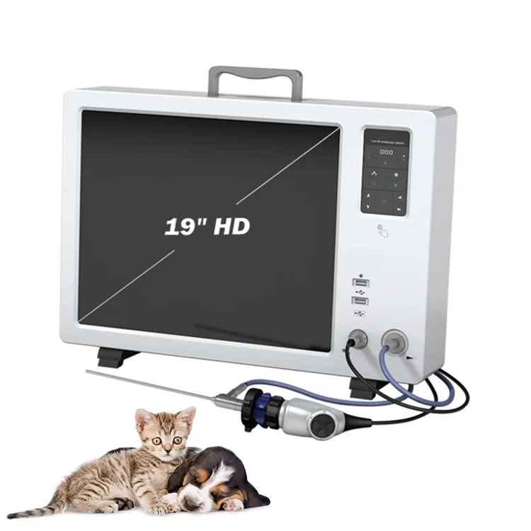 19'' Display Handheld Full HD Imaging Veterinary Endoscope Camera for ...