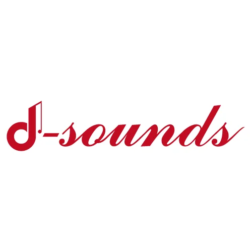 Company Overview - Guangzhou Dsounds Technology Co., Ltd.