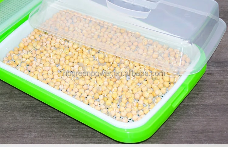 Plastic Seed Sprouter Tray with Lid - Eco-Friendly Germination