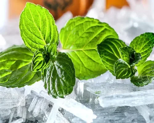 89781 Transparent Crystal Pure Natural Menthol Crystal Cas 89-78-1 With ...