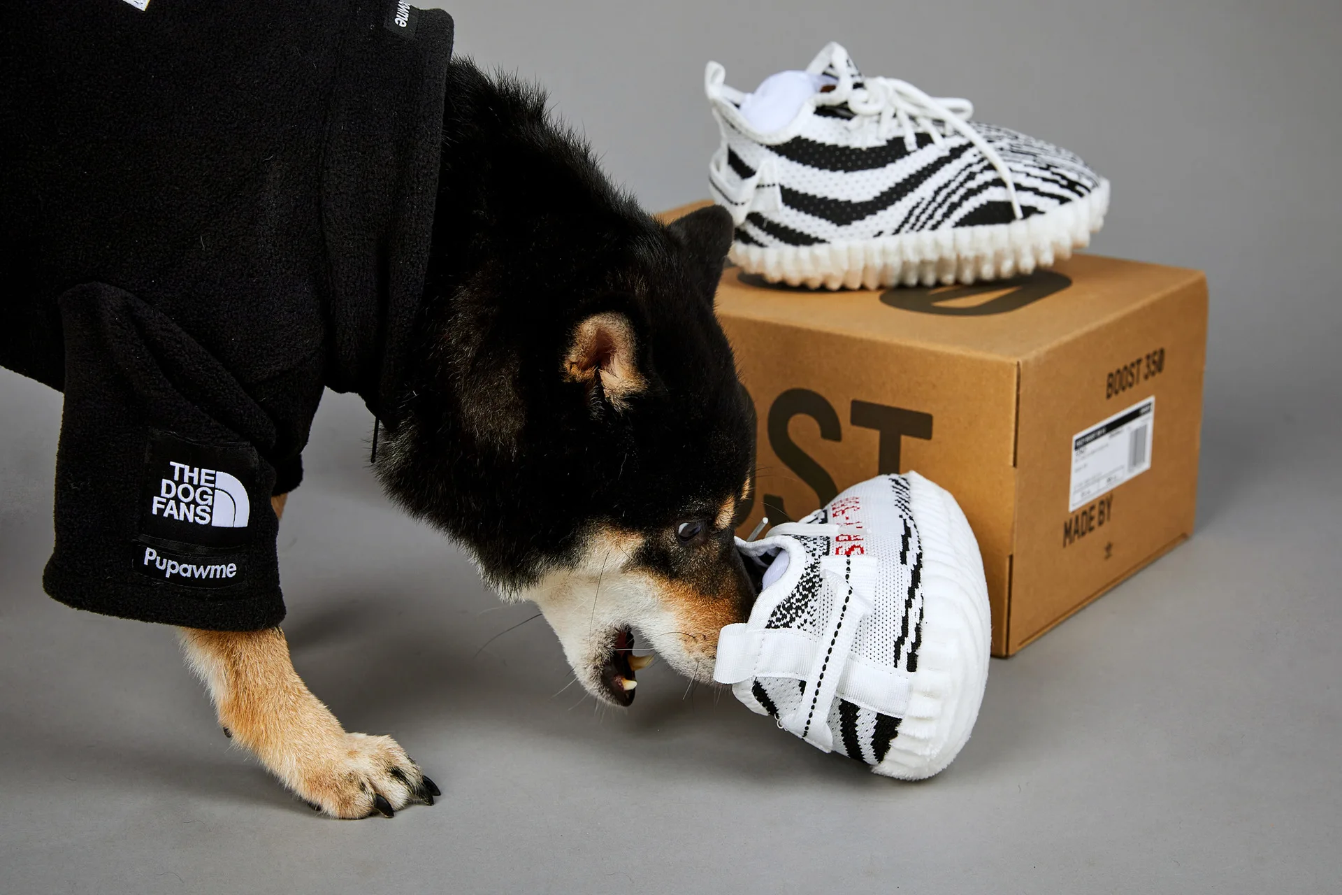 Fancy Pet Accessories Designer Sneakers Interactive Snuffle Dog Sniff ...