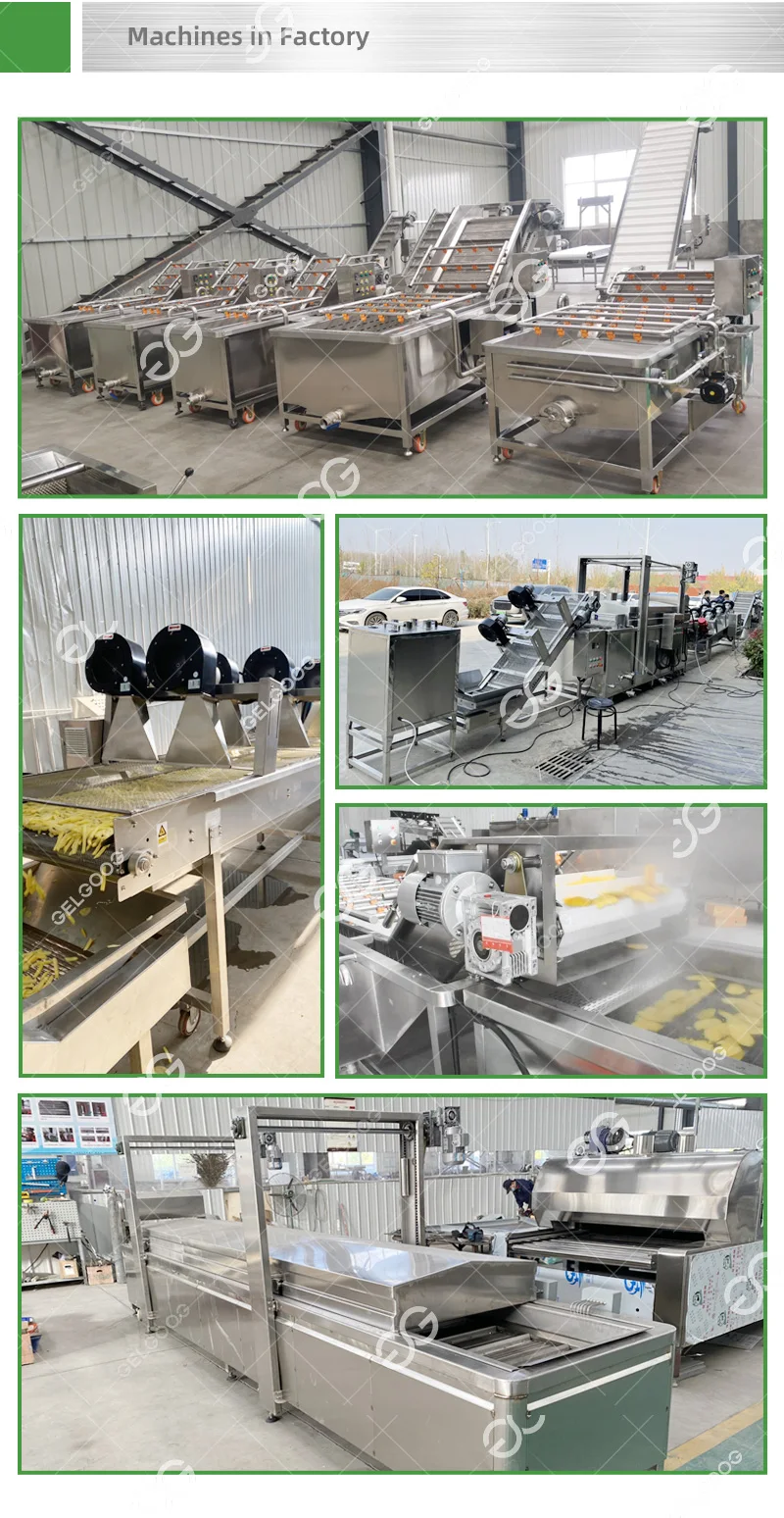 Gelgoog Automatic Frozen 500kg/h Mango Freeze Machine Shock Freezing ...