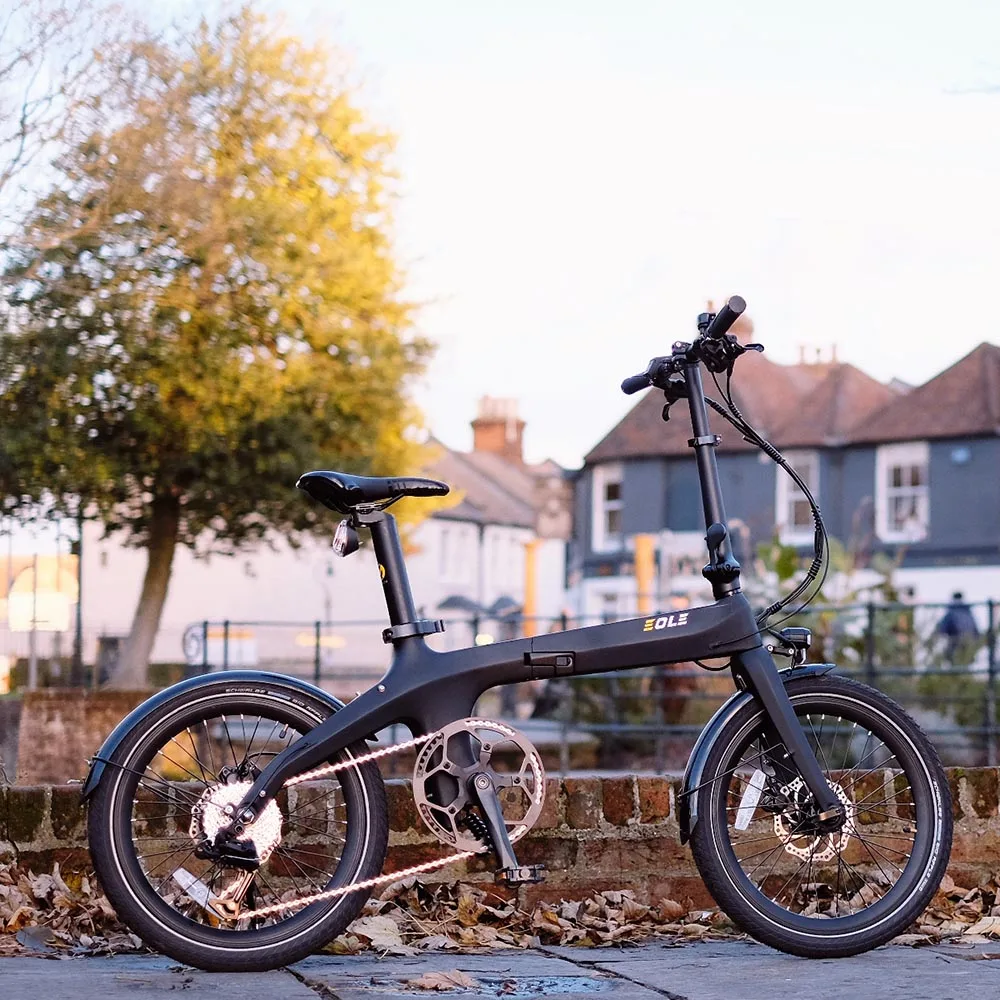 Bw Eole S Carbon Fiber Frame Electric Bike 20 Inch 250w Electric ...