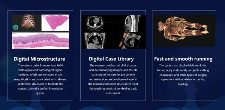 Human Virtual Anatomy Table - 3D Dissection for Medical Science