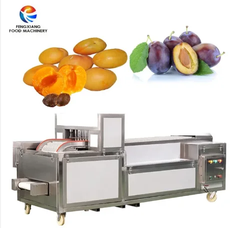 Automatic Indian Gooseberry Cleaning and Pitting Machine