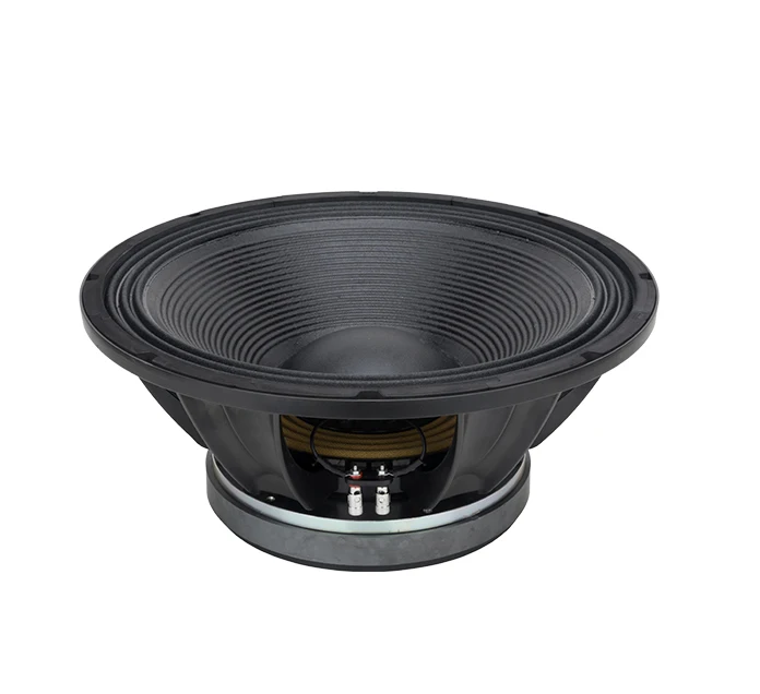 PA Speaker - Professional 18 Inch Subwoofer with 5 Inch Voice Coil