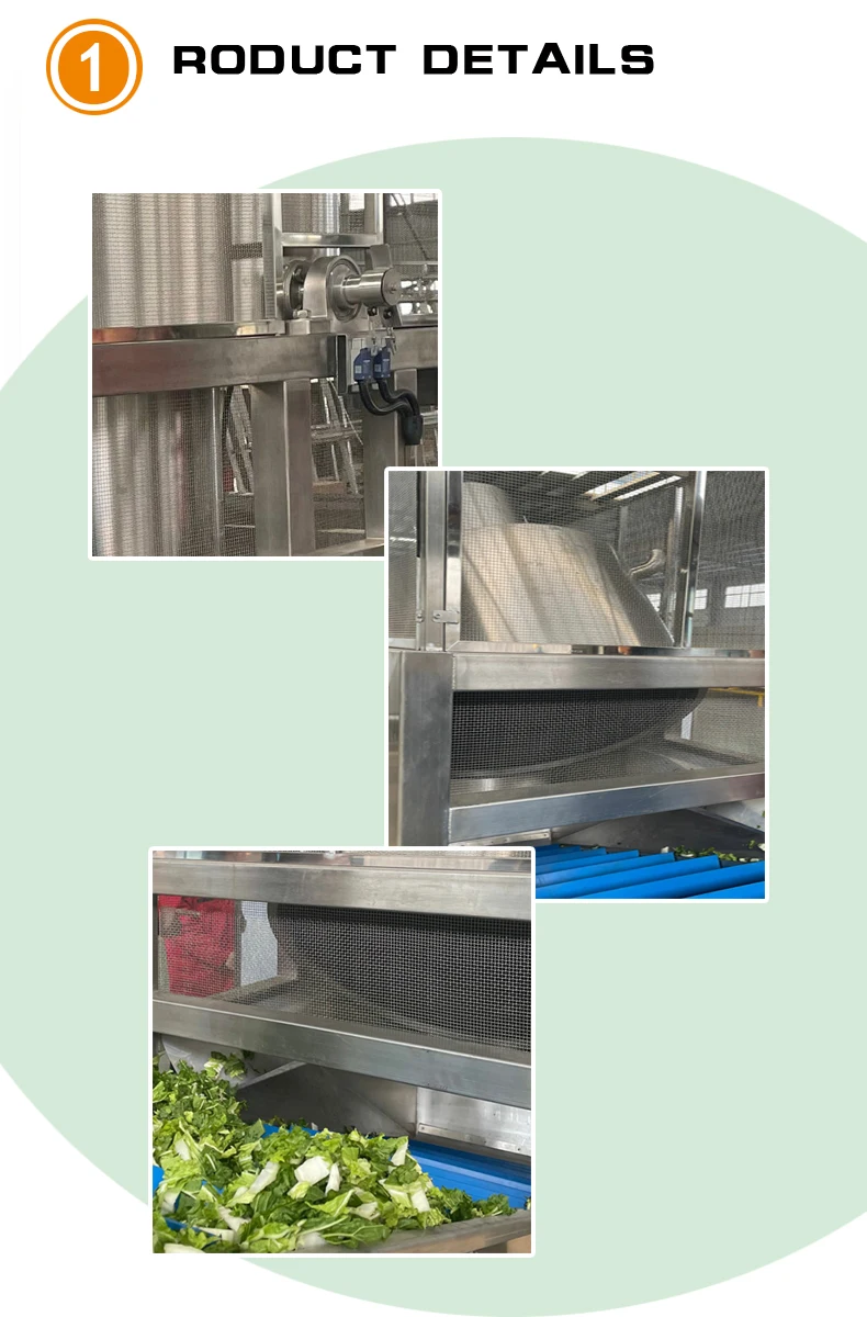 Commercial Salad Sorting Washing Cutting Vegetable Fruit Washer Machine ...