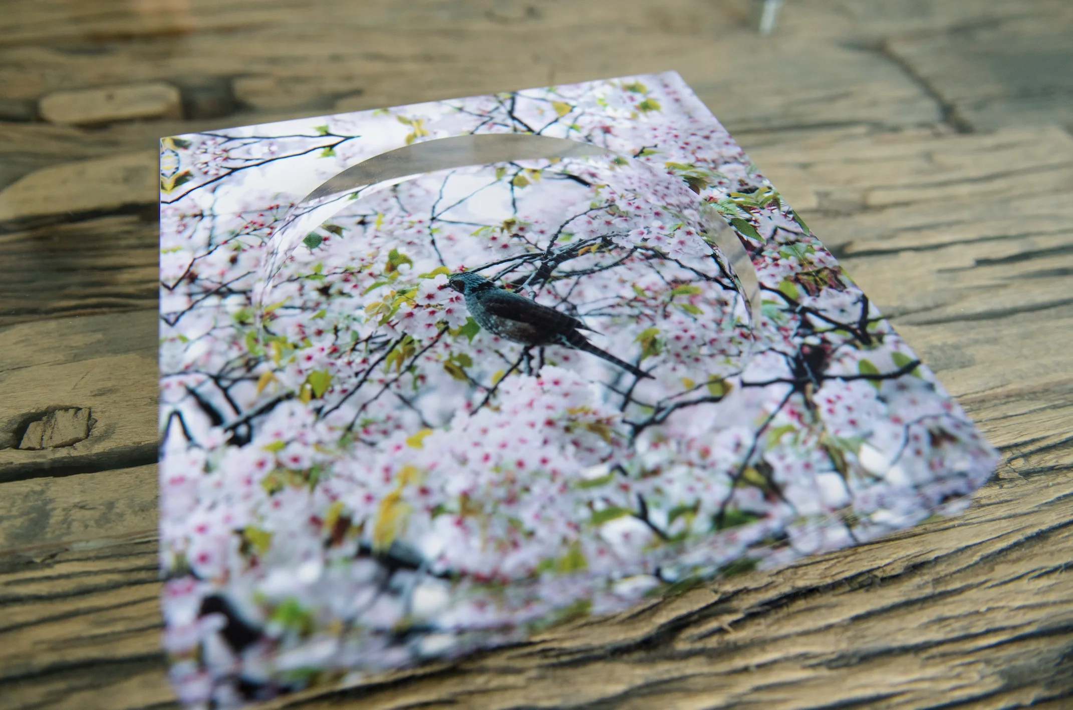 Customized Print Clear Acrylic Candy Dish Home Shop Decoration 6x6 ...