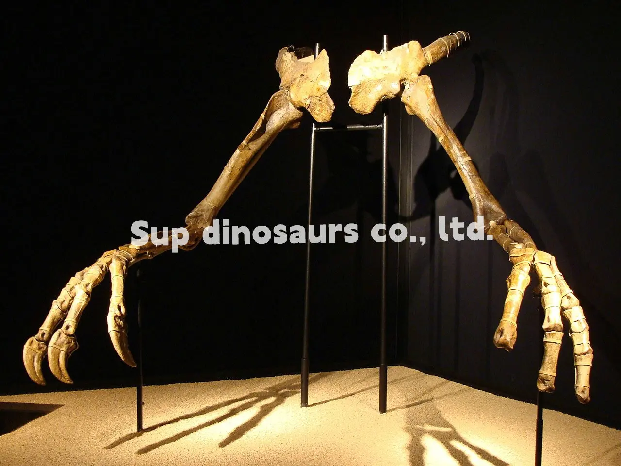 Artificial Real Dinosaur Fossils Model Large For Sale - Buy Stegosaurus ...