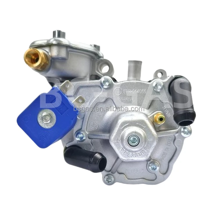 LPG Biogas Conversion Kit for Gasoline Generators