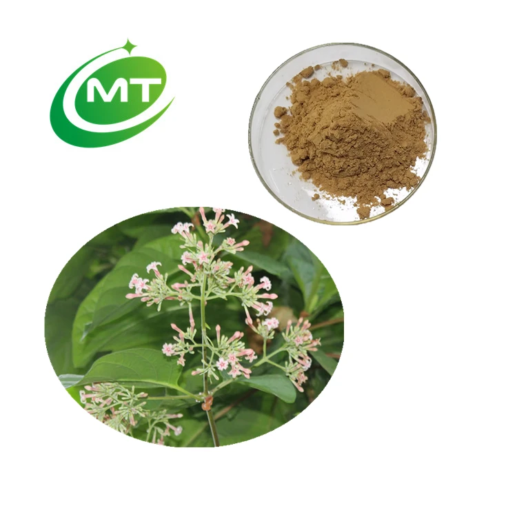 Wholesale Organic Cinchona Officinalis Bark Extract Powder