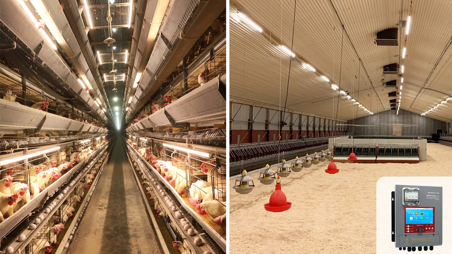 Hontech 3000W Poultry Light Dimmer LED Control for Chicken & Pig Farms ...