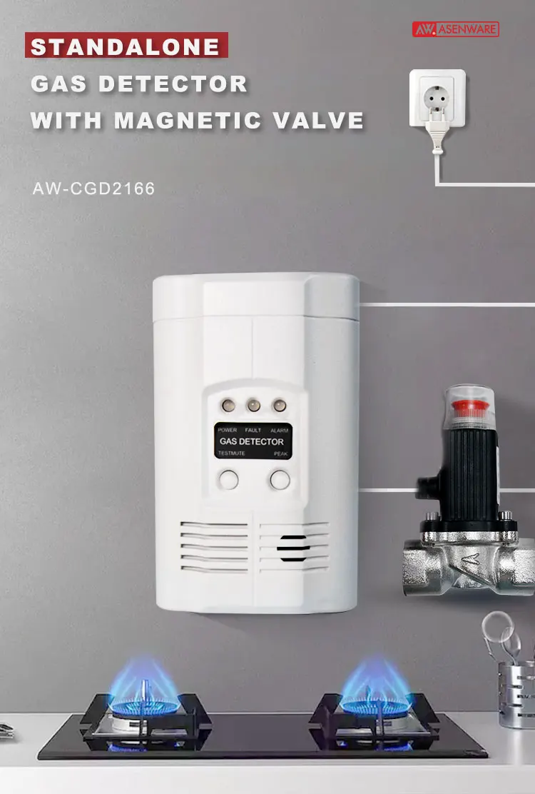 Factory Wall Mounted 12V/220V LPG Gas Leak Detector Price