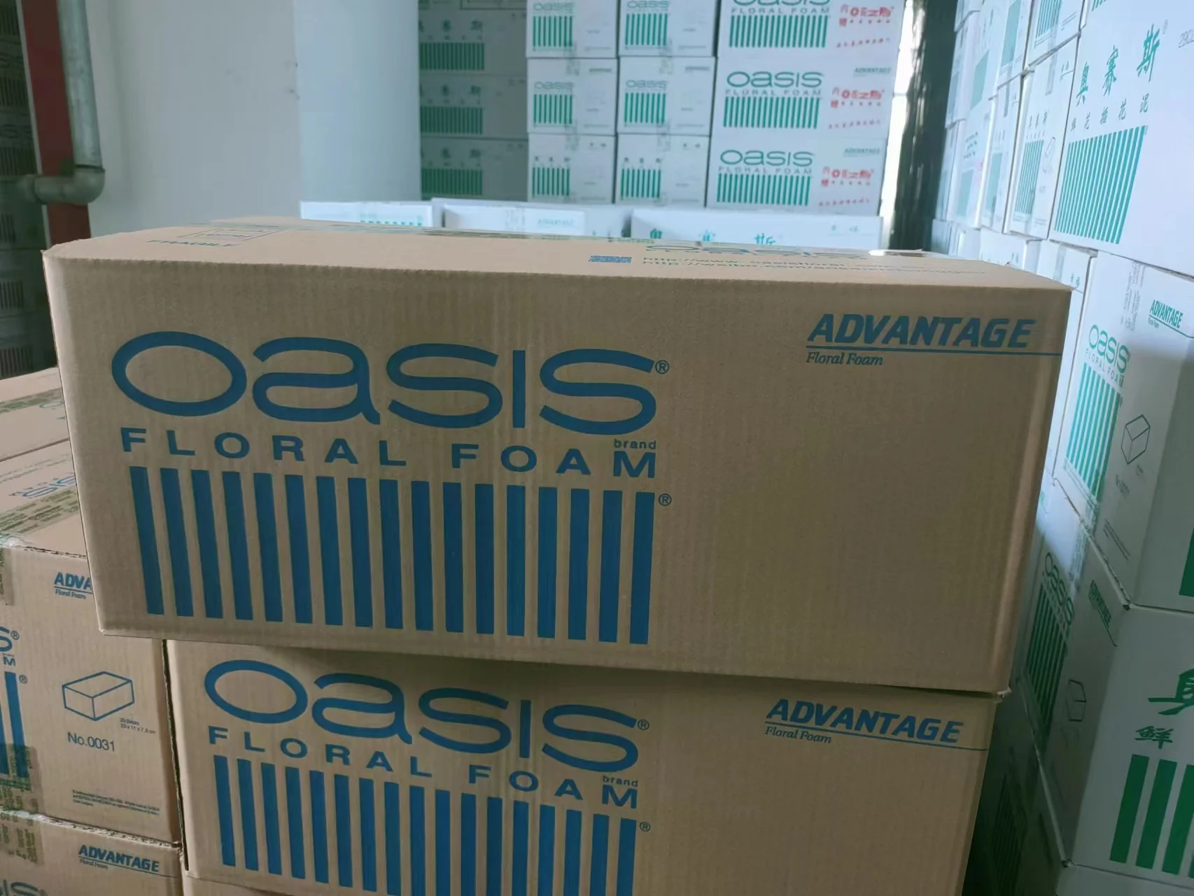 Oasis Floral Foam Pathfinder Oasis Flower Tiles Foam Oasis Flower Clay ...