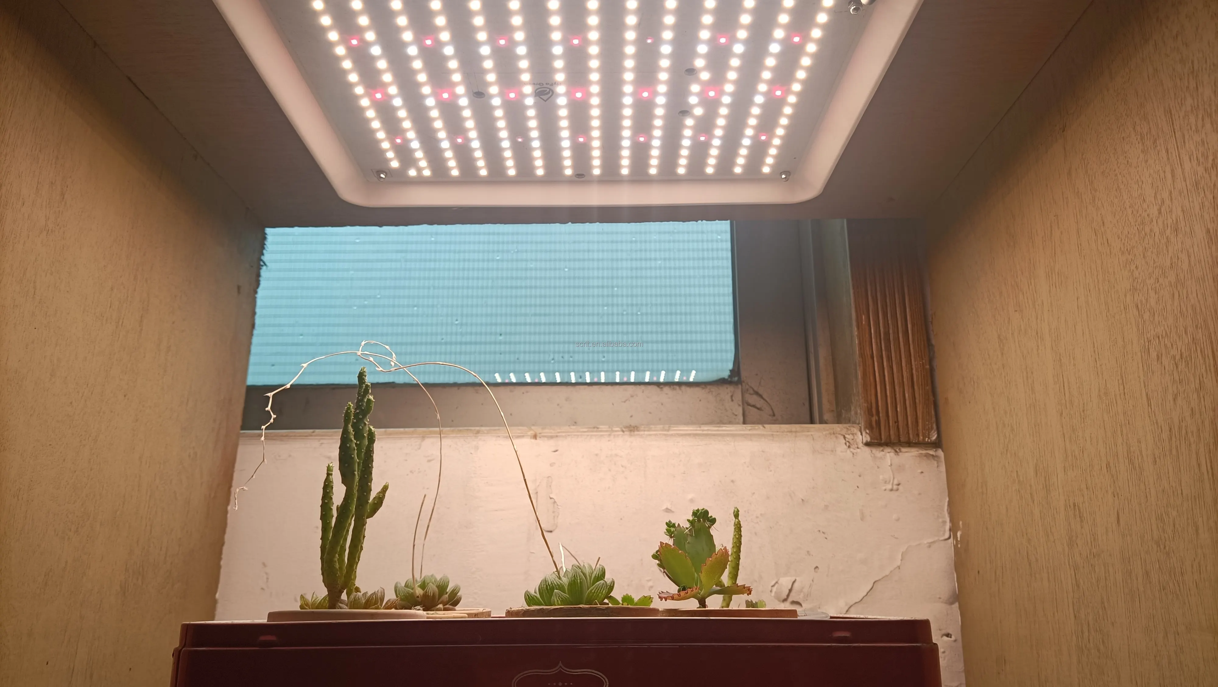 IMVSINCERE LED Grow Light - Full Spectrum 60W Indoor Plant Lighting