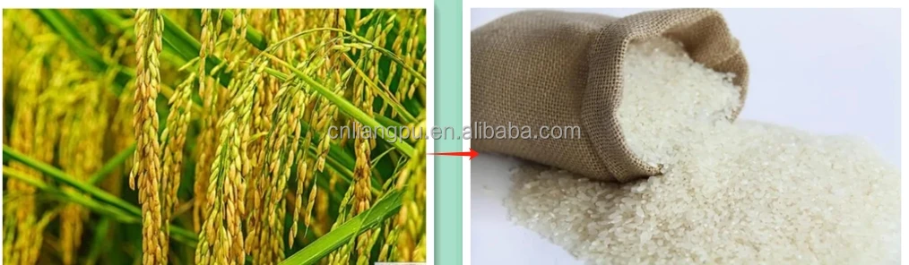 Sb10 Combined Rice Milling Machine For Sri Lanka - Buy Rice Mill ...