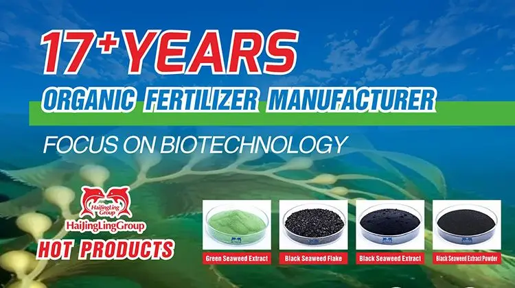 Humic Acid Seaweed Biofertilizer Humus Biostimulant Promotes Biological ...