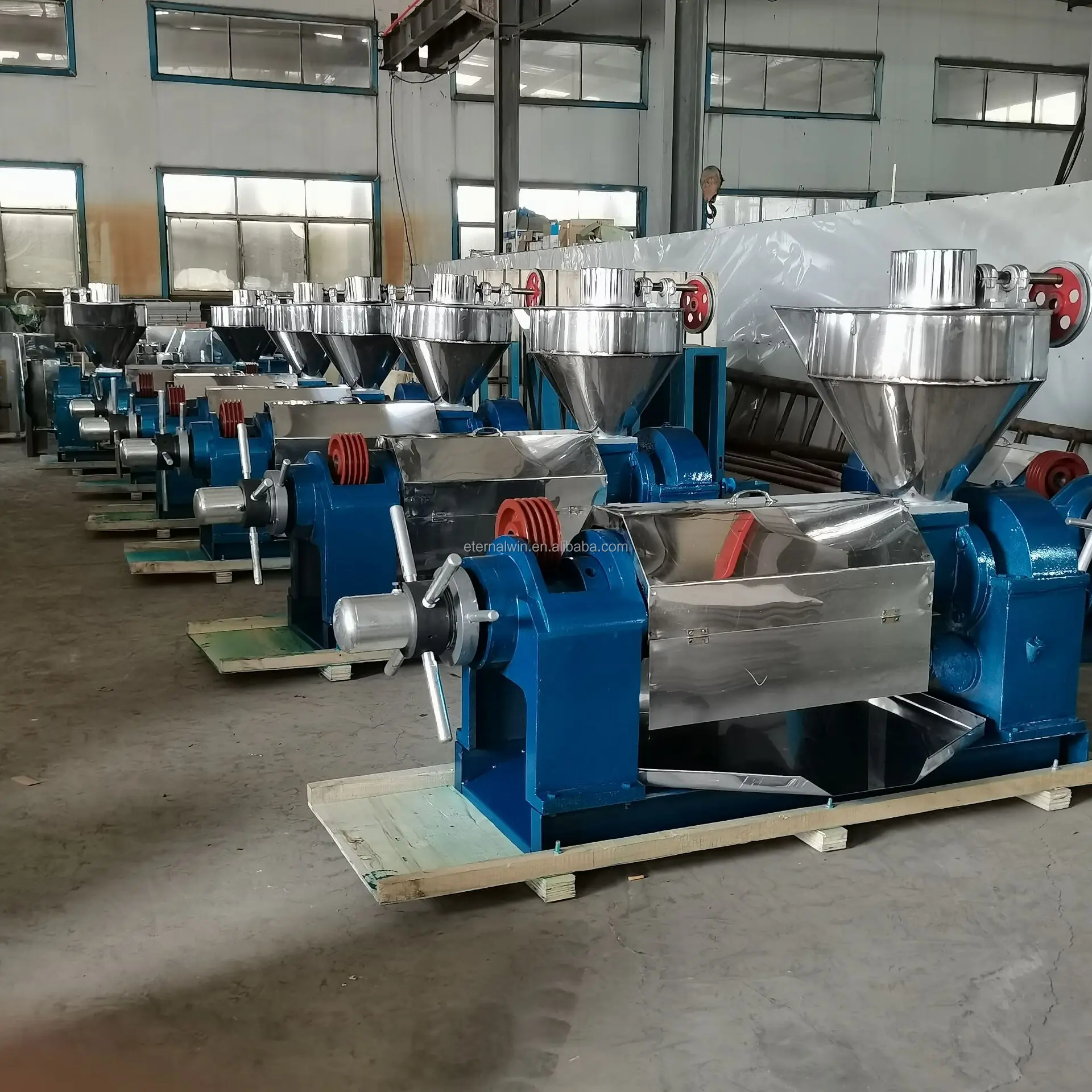 Olive Oil Press Machine - Efficient & Automatic Extraction