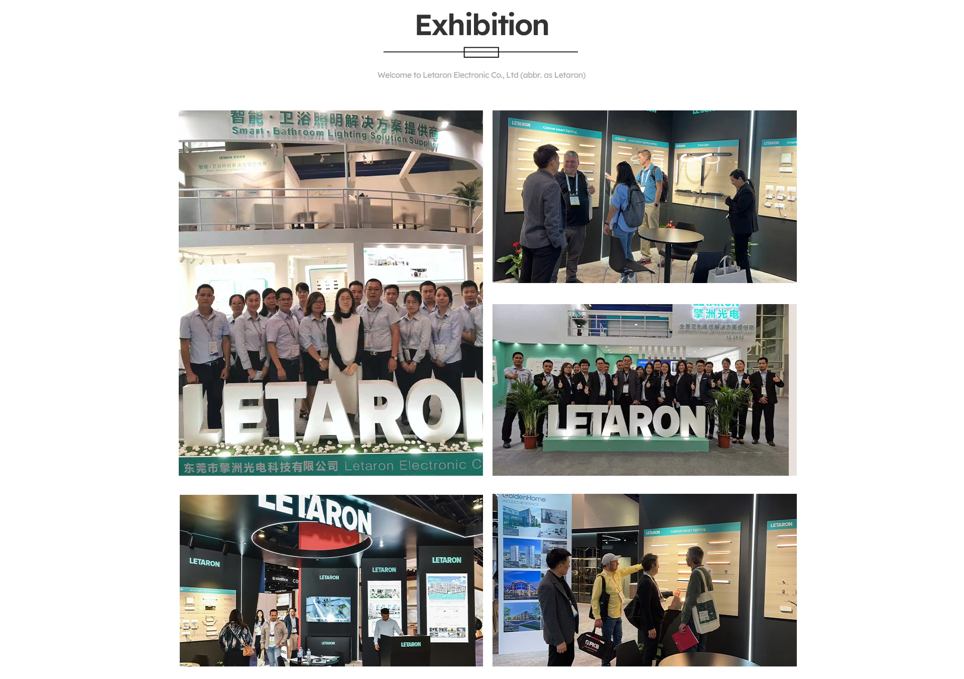 Company Overview - Letaron Electronic Co., Ltd.