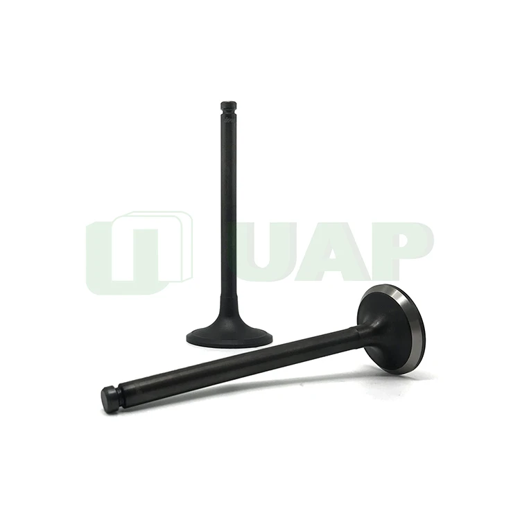 Fe6t 12v Diesel Engine Intake Valve 13201-z5501 And Exhaust Valve 13202 ...