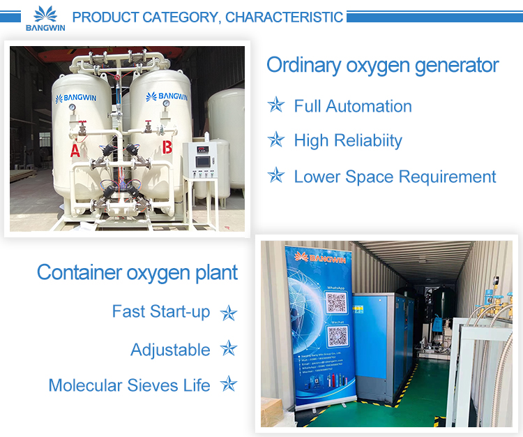 BW-10 Easy Operated PSA Oxygen Generation System Madical Oxygen ...